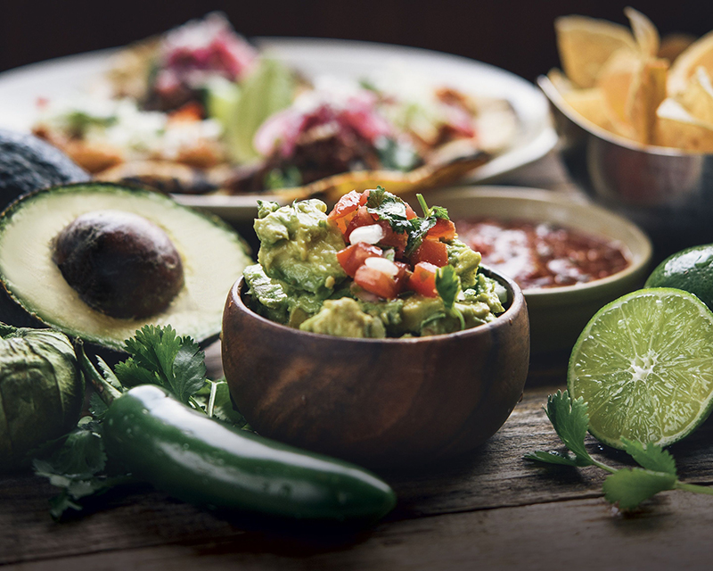 Cactus - The Bellevue Collection