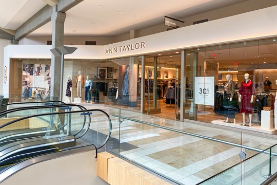 Ann Taylor - The Bellevue Collection