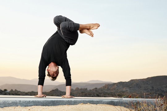 Alo - The Bellevue Collection